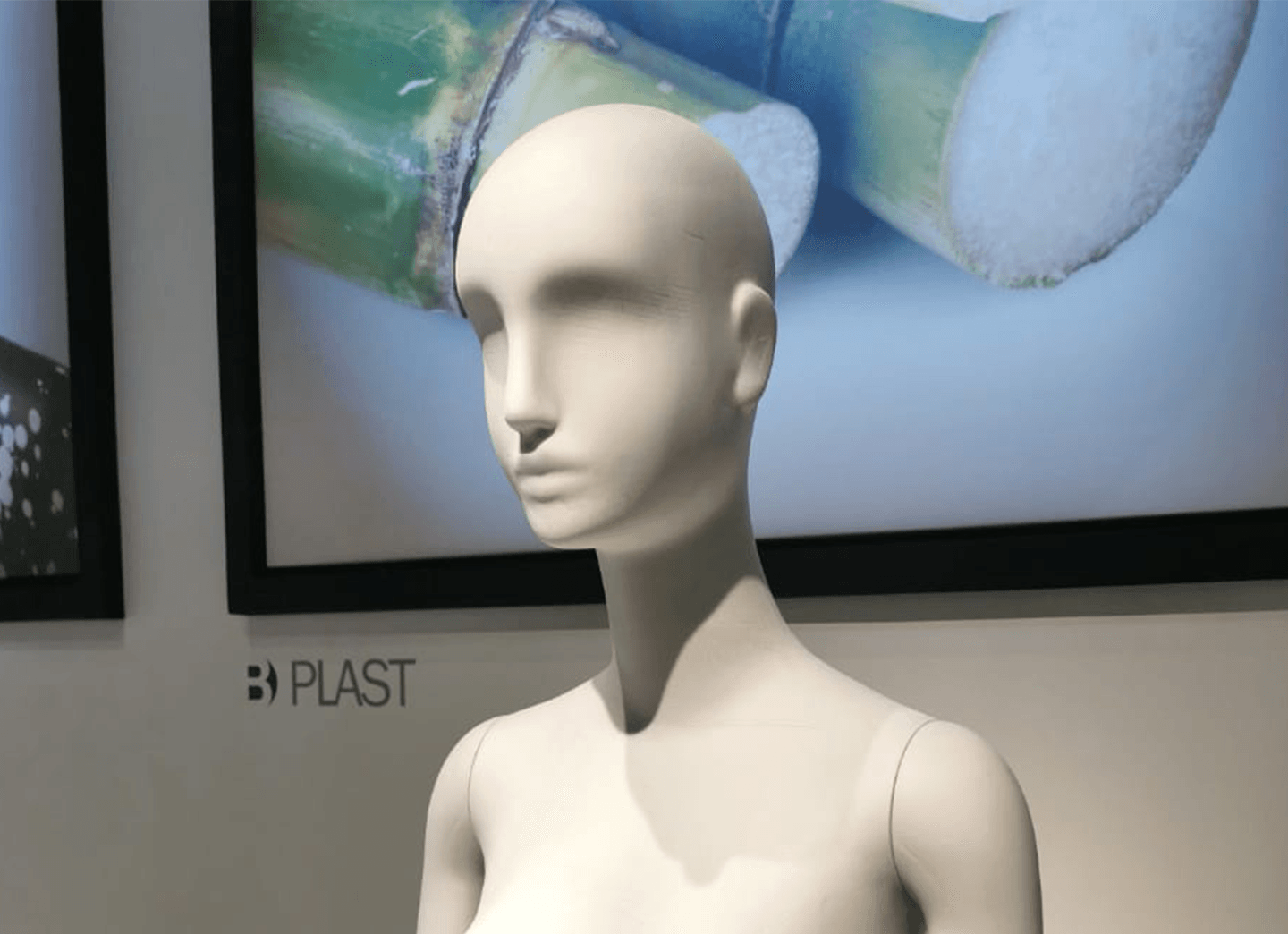 It’s a mannequin’s world! - The Albex Group