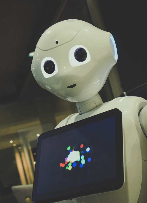 RETAIL CONSULTANCY - The Albex Group